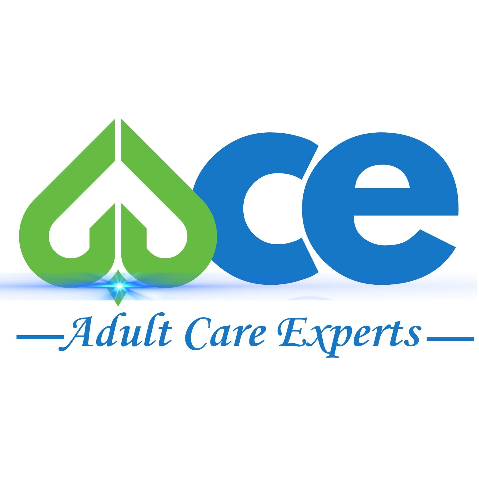 Adult Care Experts