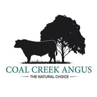 Invitational Bull Sale | Exton Angus - Raising Cattle. Raising Standards.