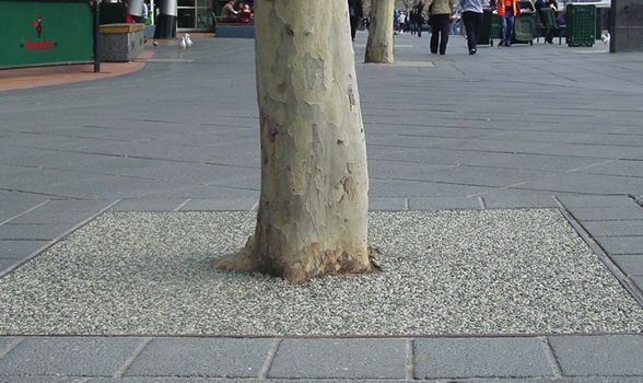 Why Your City Should Use Permeable Paving for Tree Pits