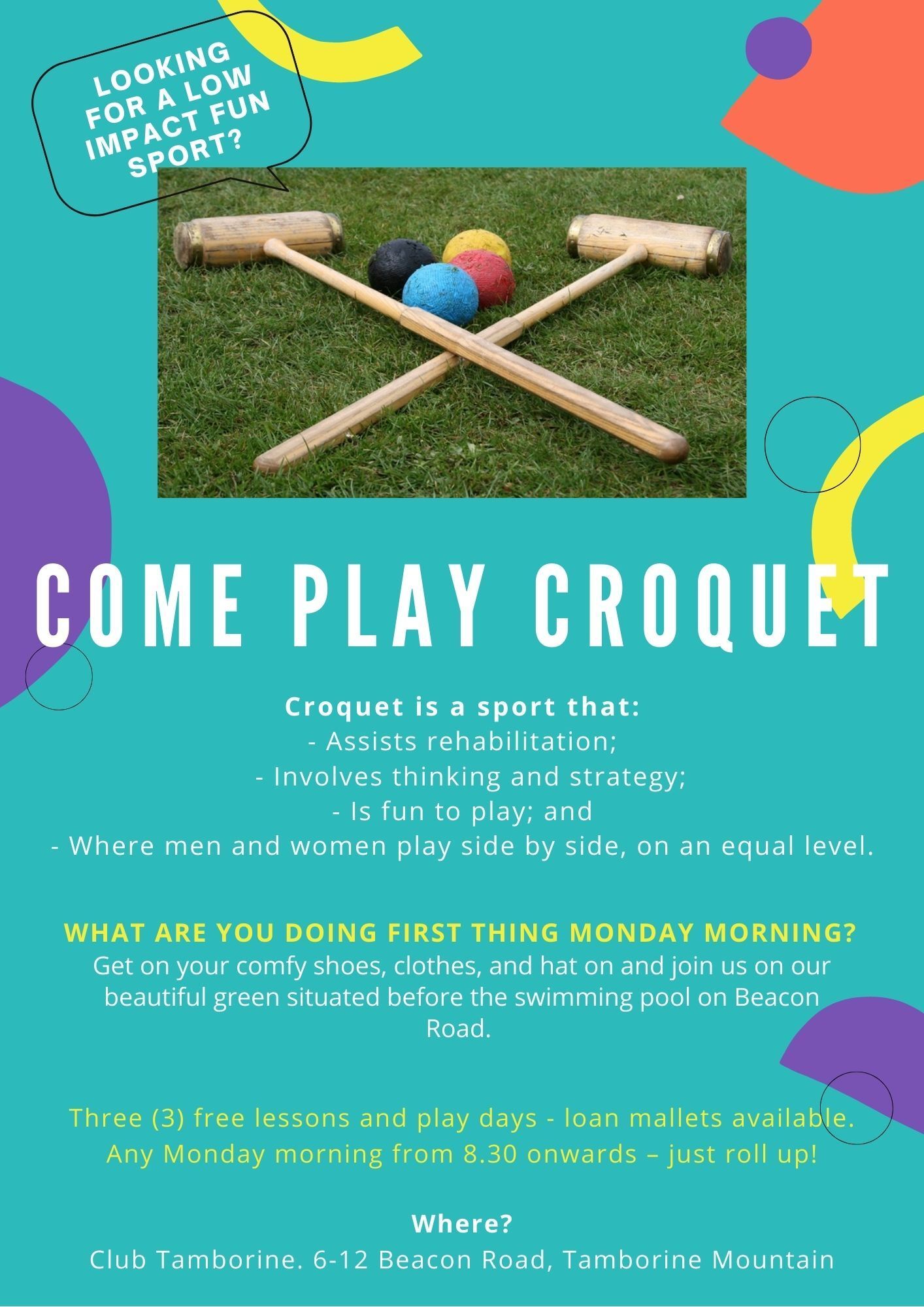 Come and Play Croquet