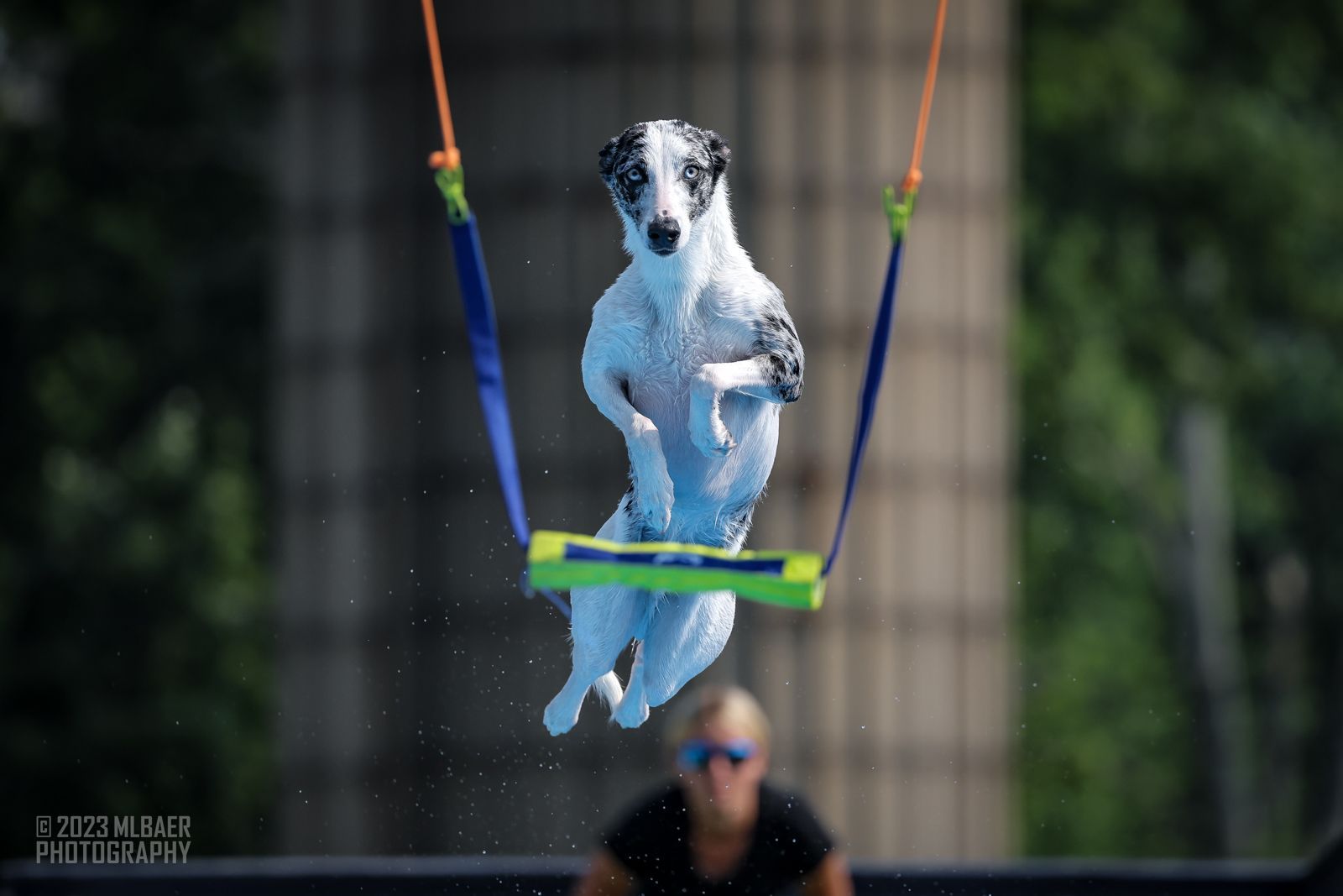 Doggy Pool Rental | Dayton, OH | Flyer’s Paw Zone