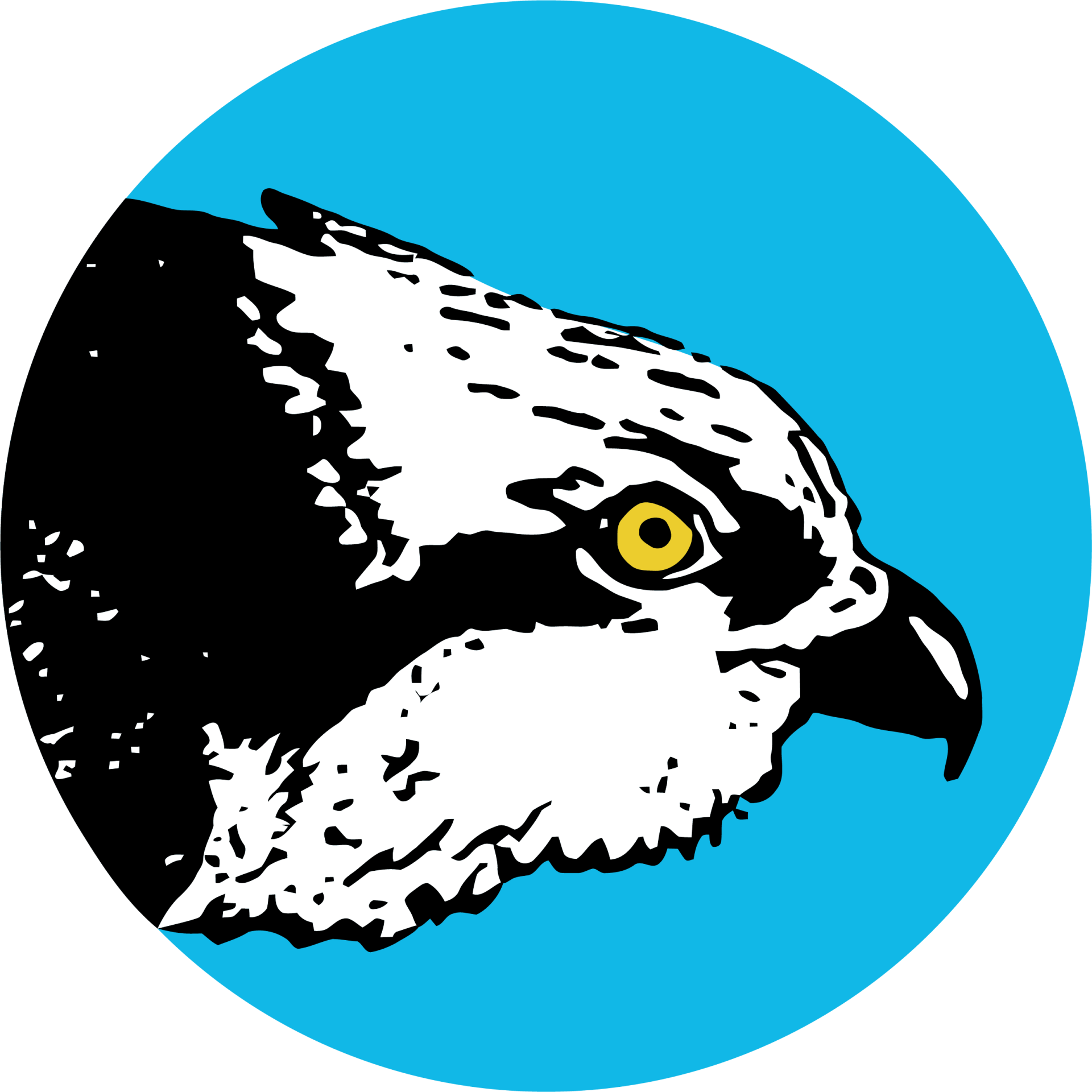 Osprey Welfare Resources The International Osprey Foundation