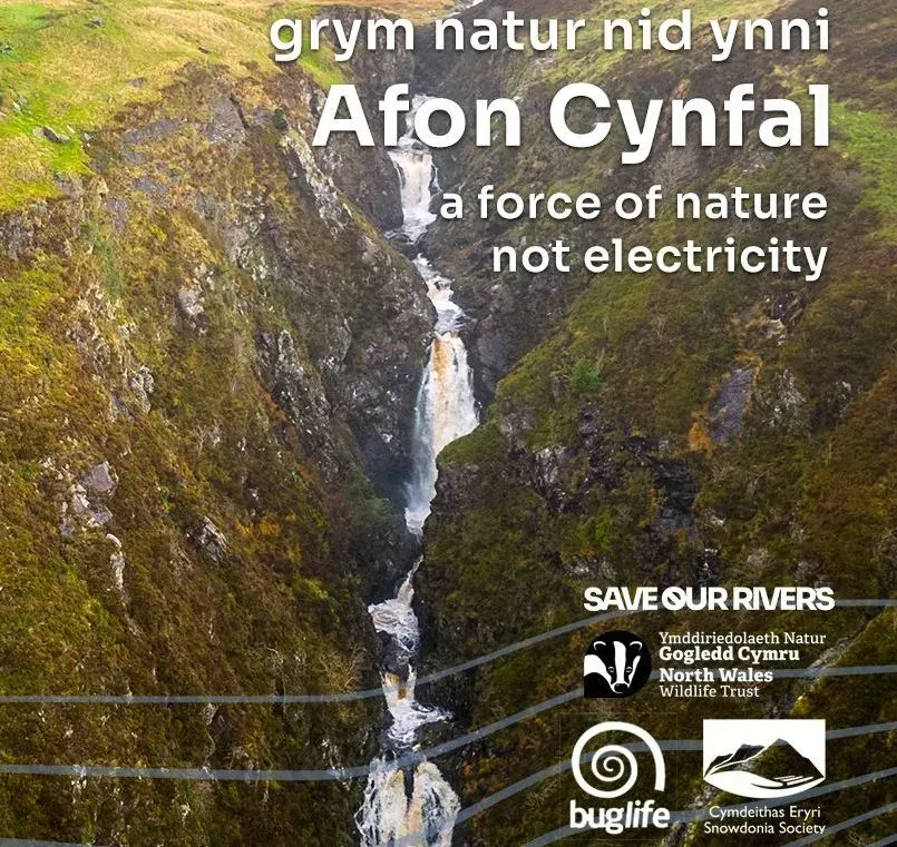 Save Our Rivers -Afon Cynfal in Eryri (Snowdonia) National Park