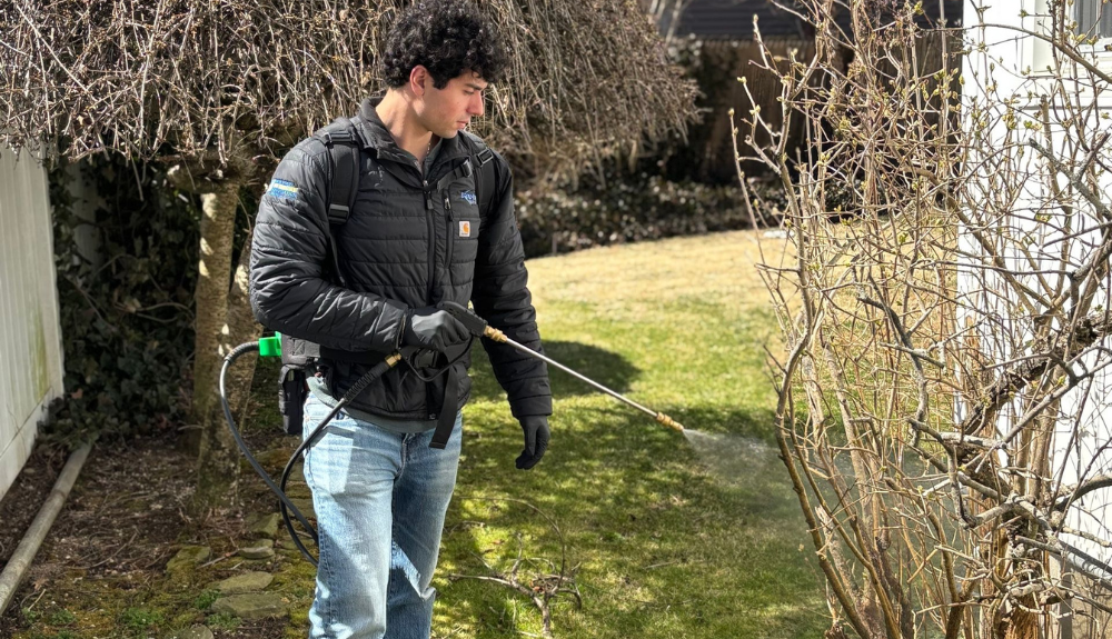 Top 5 Spring Pests in Long Island | ProForce Pest Solutions