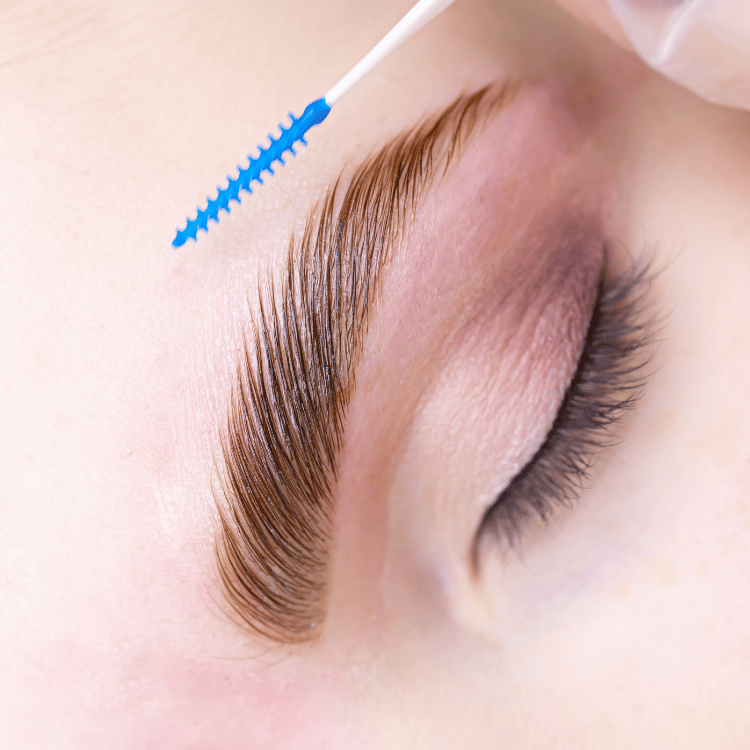 Expert Brow Lamination in Chicago | House of Brows | Fuller, Sculpted Brows