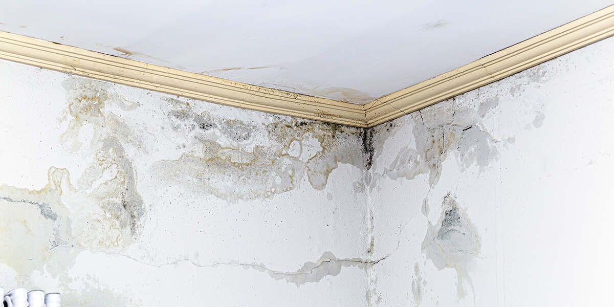 How Can You Tell If Your Drywall Has Water Damage? Top Signs
