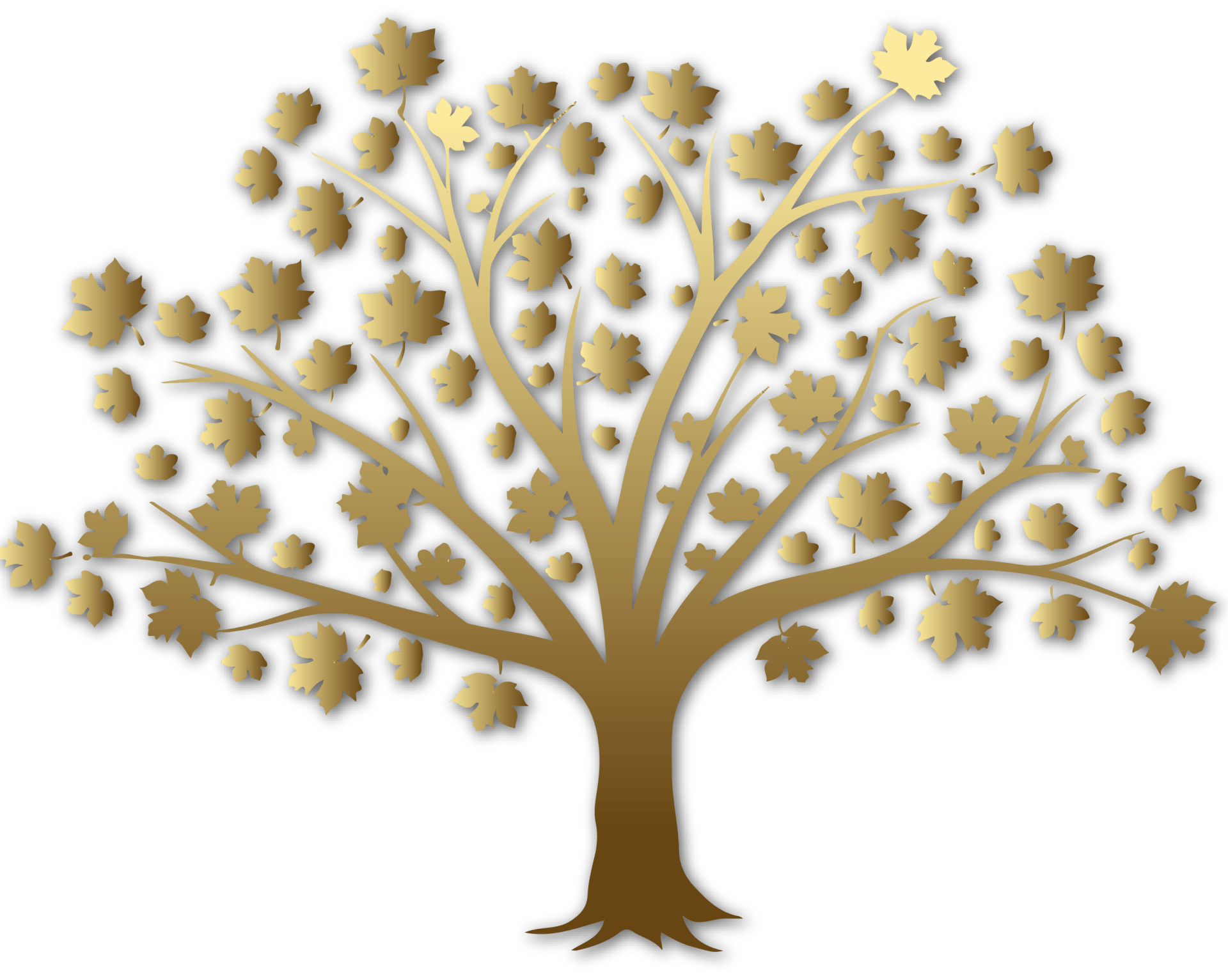 Landscaper in Albemarle, NC | R & S Landscaping