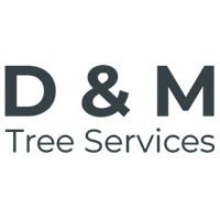 Tree Lopper in Taree | D & M Tree Services