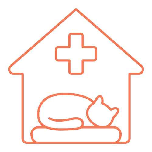 Felines & Friends Foundation of Vermont | Be Involved