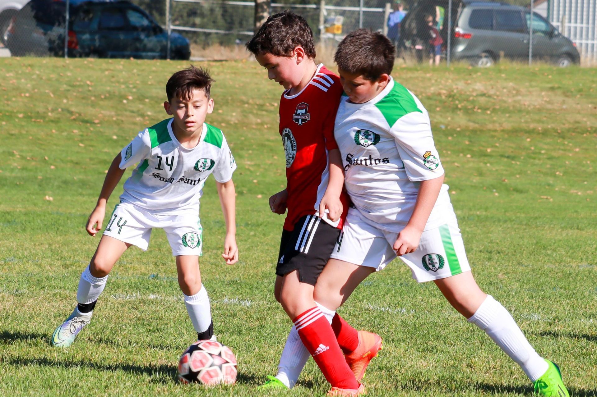 Girls and Boys Soccer Programs 2024-2025 | Sozo FC