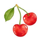 Stunning Camping Experience | Cherry Tree Farm Campsite | Croyde Bay