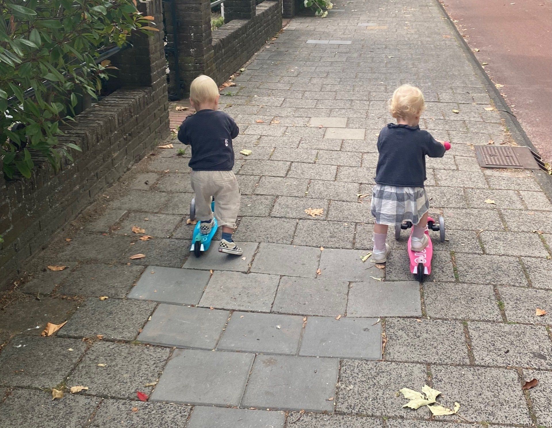 HOME [www.tweeling-tips.nl]