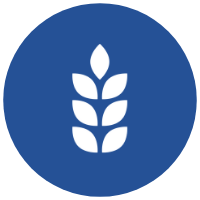 Camgrain | Grain Storage Co-operative | About Us