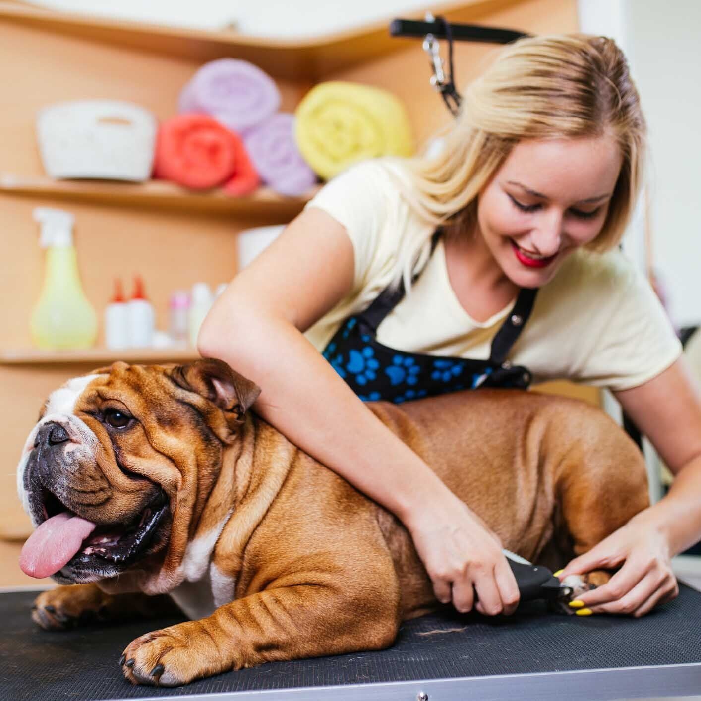 Pet Grooming | Tucson, AZ | Jackie's K-9 Korral Pet Salon