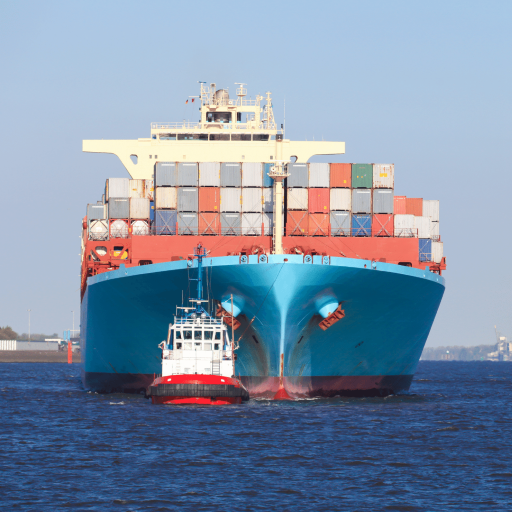 Imports and Exports Projects - ICS Global Services Ltd