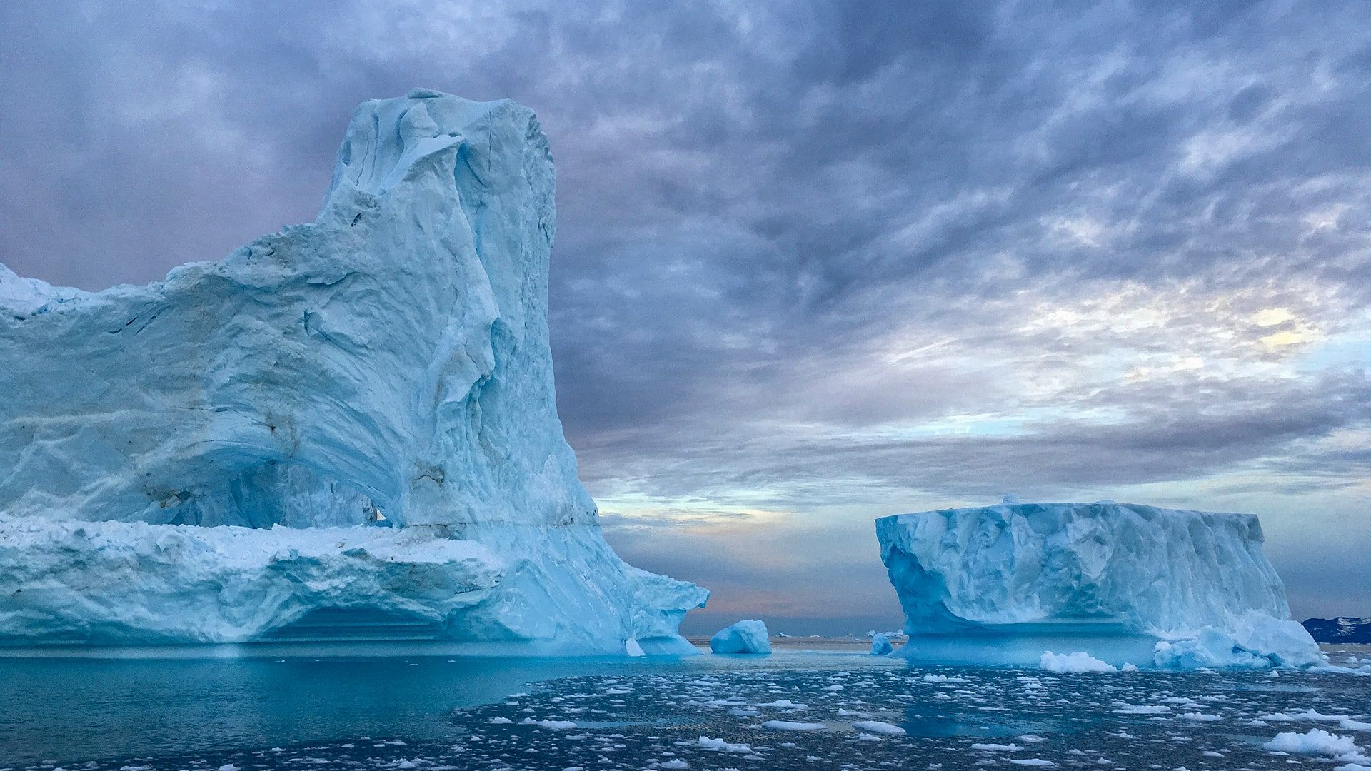 Right Here Right Now Global Climate Alliance