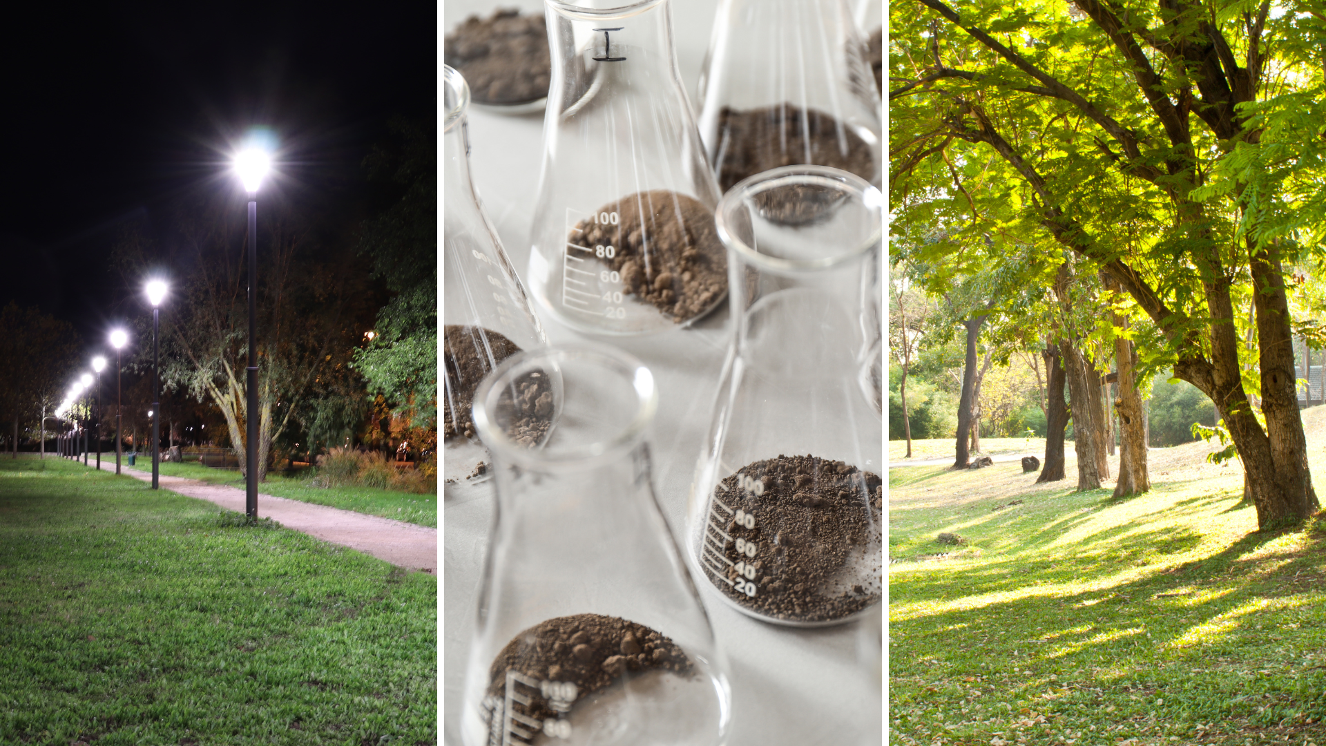 Burrage Reserve Path Lighting