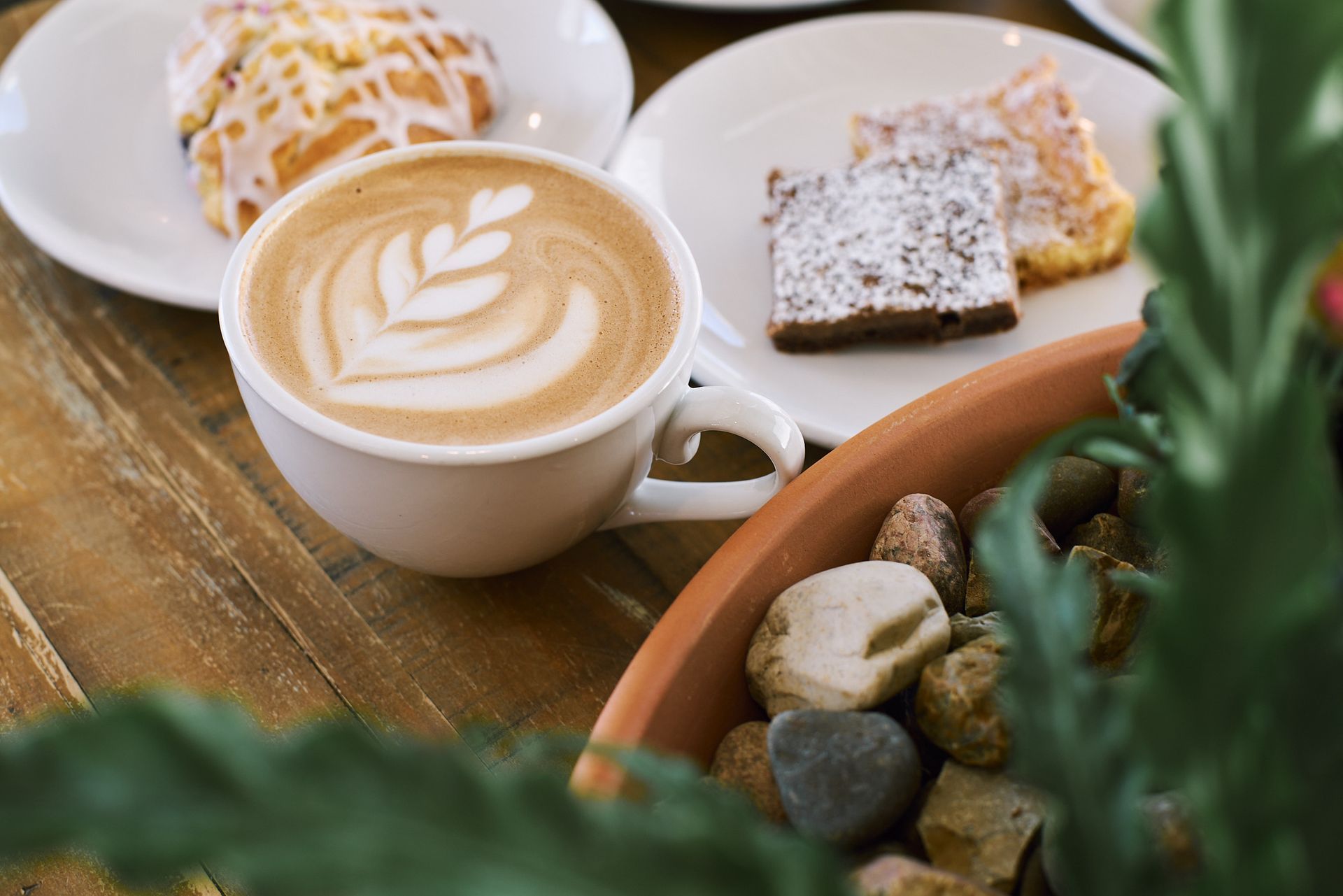 Ethically Sourced Coffee | Three Story Coffee