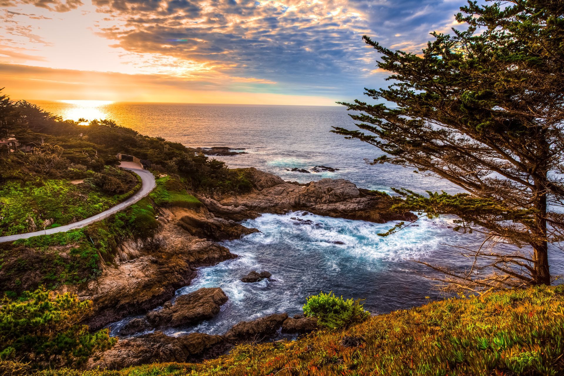 Guide to Point Lobos State Reserve Hiking