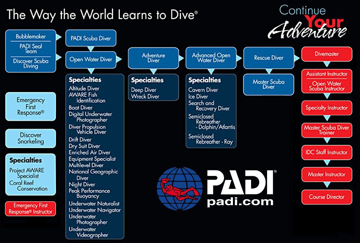 Corsi Padi - Torino - Blu Diving School Torino