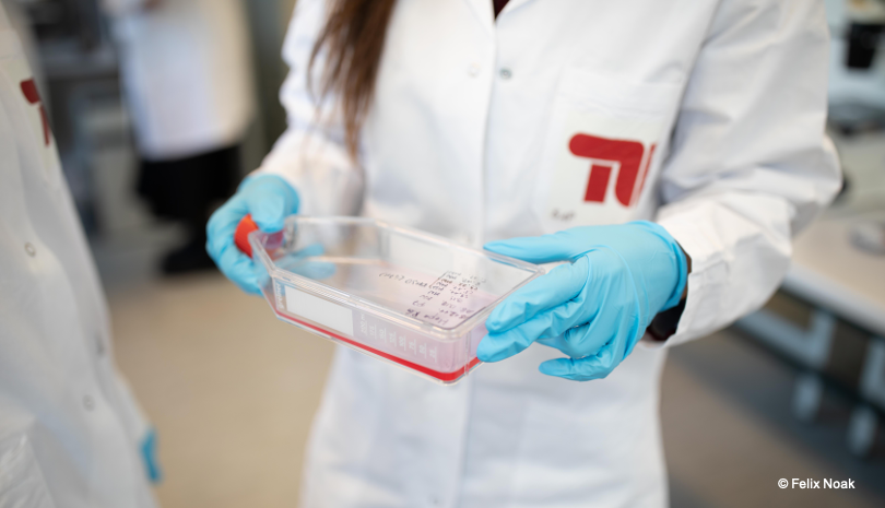 PRAMOMOLECULAR_Self Delivering siRNAs