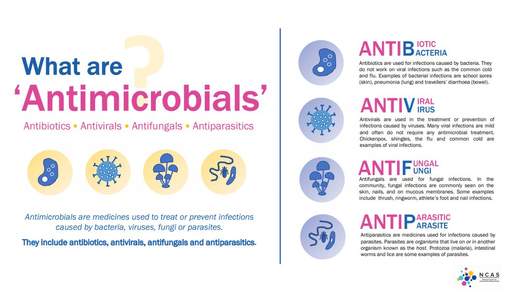 National Centre for Antimicrobial Stewardship