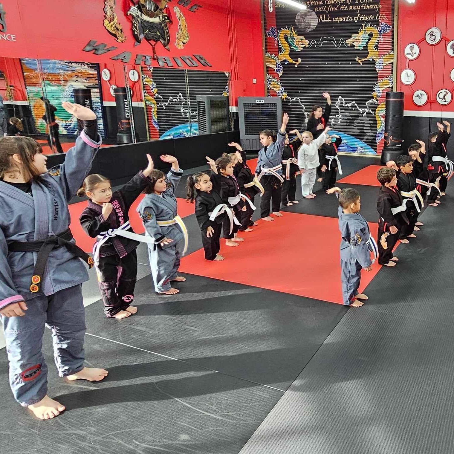 WAY OF THE WARRIOR MARTIAL ARTS, 9882 Waterman Rd Ste 100, Elk Grove ...