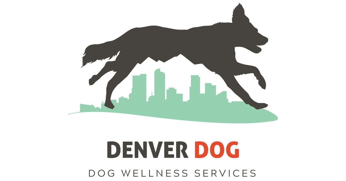 Walking Running Hiking | Denver Dog