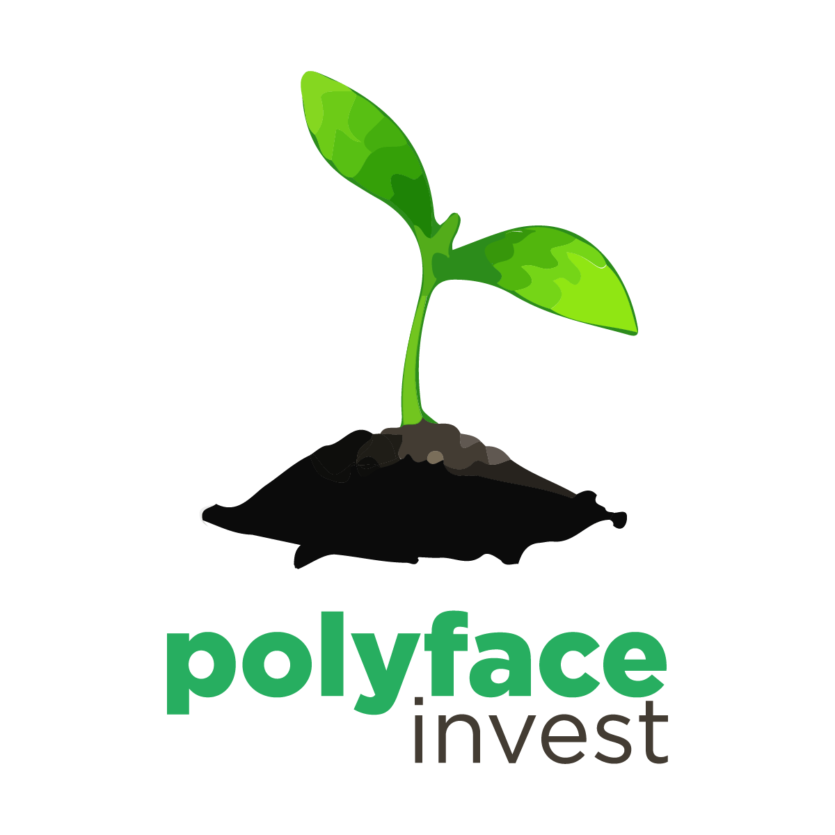 Polyface Invest | Gestora de Investimentos