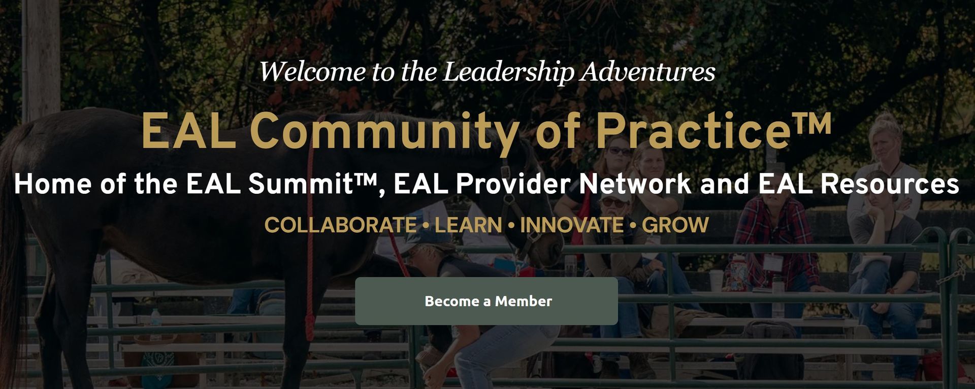 Equine-Assisted Learning Community of Practice