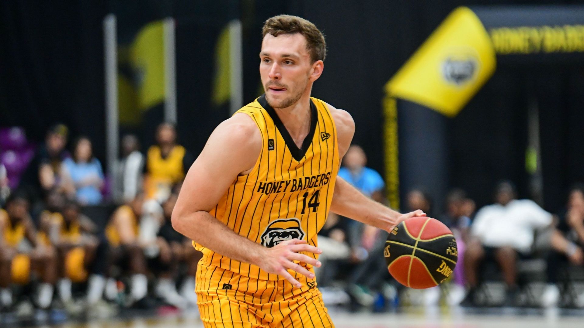 Honey Badgers Welcome Back Veteran Forward Waterman