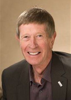 Home | Liverpool Sunflowers