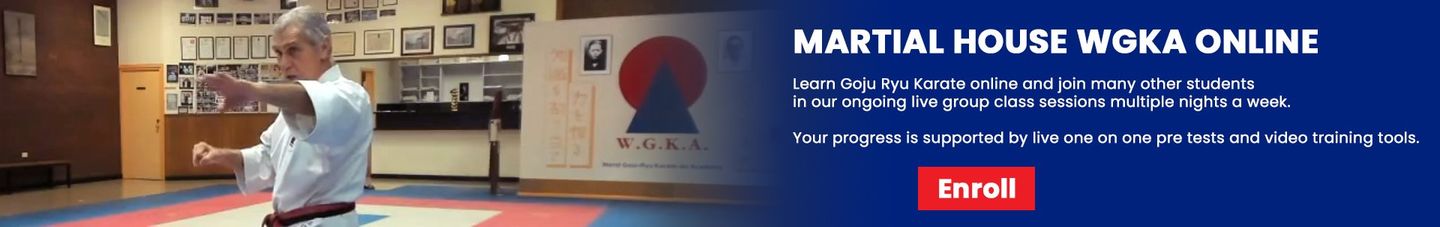 Self-Defense Martial Arts Classes For Kids Lalor - WGKA Goju Karate