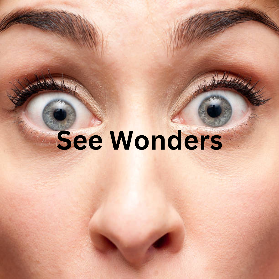 See Wonders