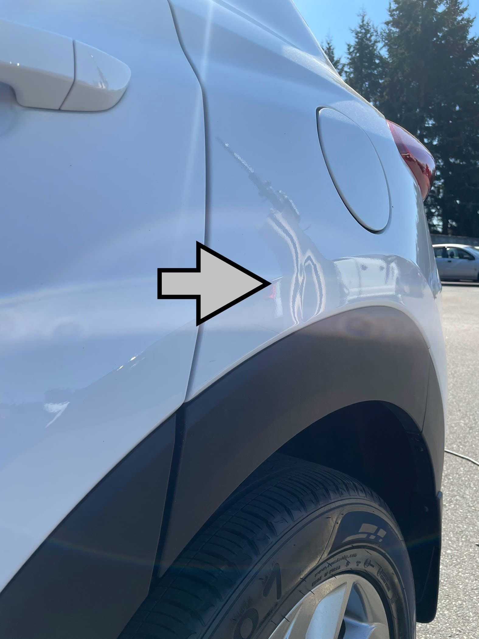 Before and After Photo Gallery