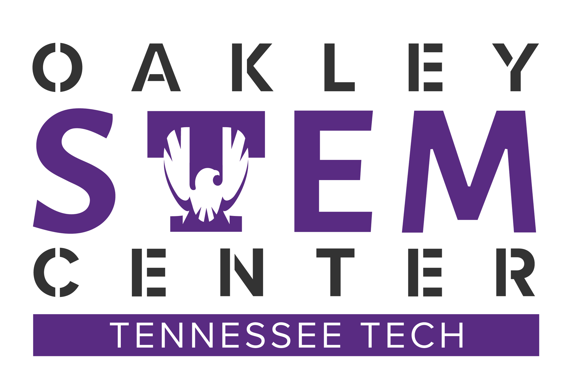 STEM Innovation Hubs | Tennessee STEM Innovation Network