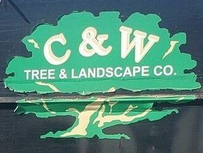 Tree Trimming | Martinez, CA | C&W Tree & Landscape Co