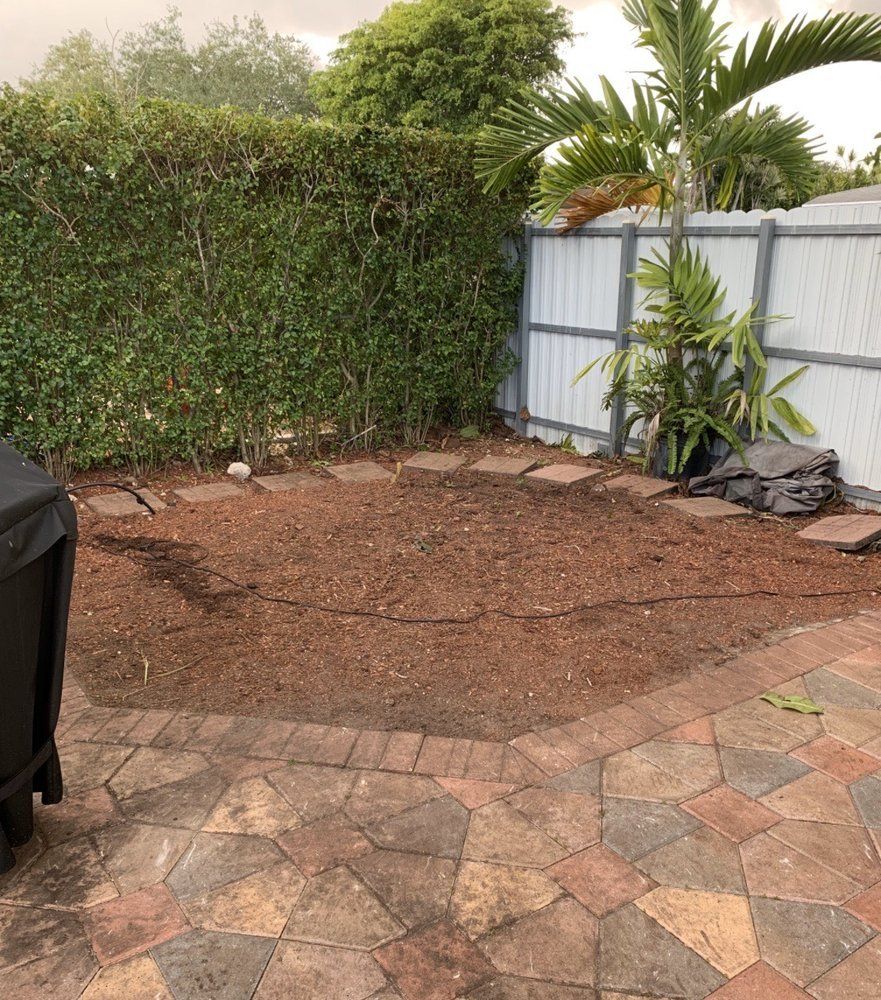 Tree Service for Kendall, FL | Acosta Tree Service