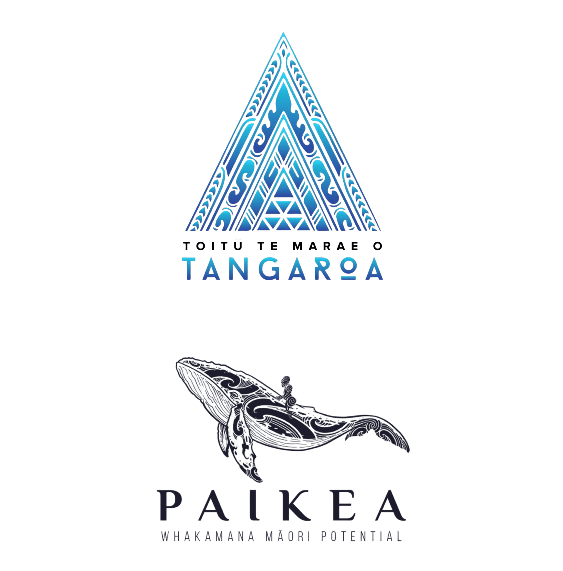 Culturally Rich digital and graphic design | Tuatahi Creatives