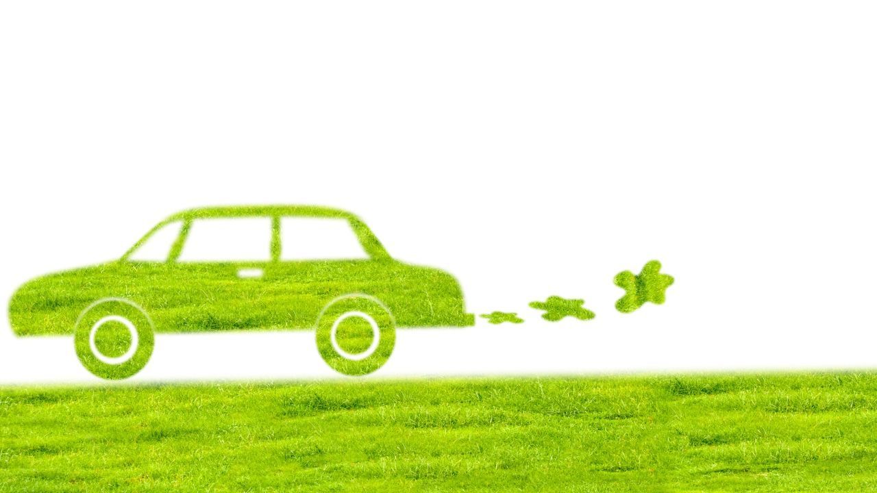 Biodiesel Insurance (Cost & Coverage) | Elemental Risk Management