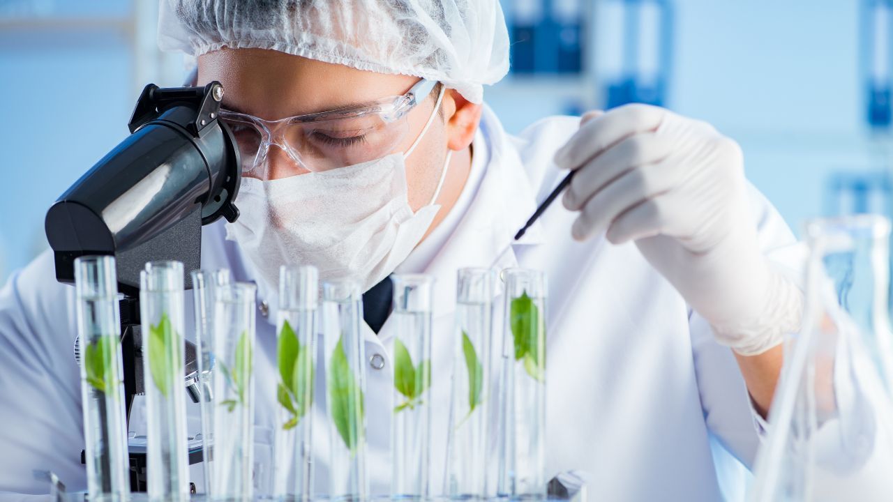 Texas Biotech Insurance (Cost & Coverage) | Elemental Risk Management