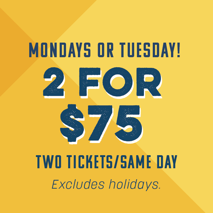 Daily Lift Tickets