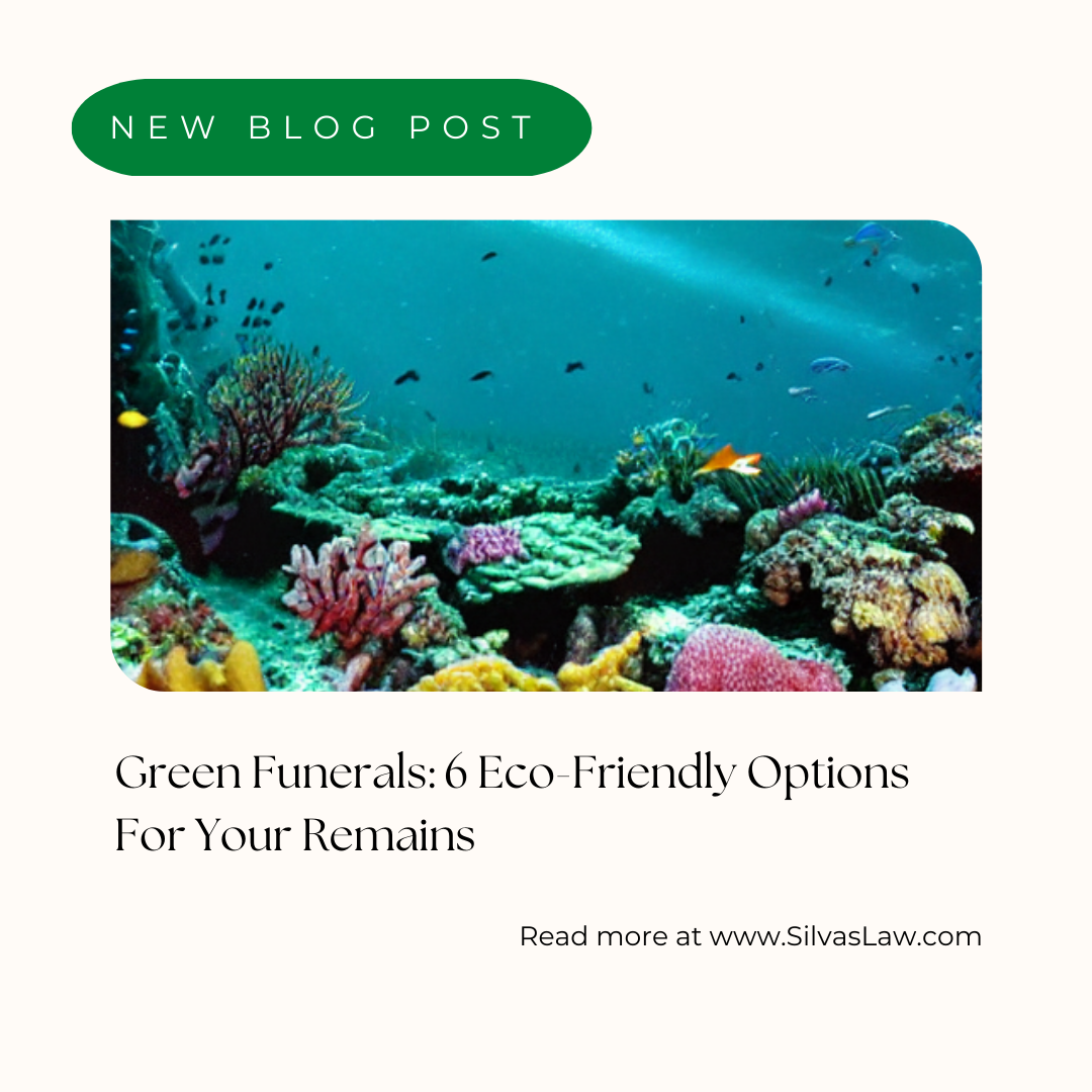 Green Funerals: 6 Eco-Friendly Options For Your Remains