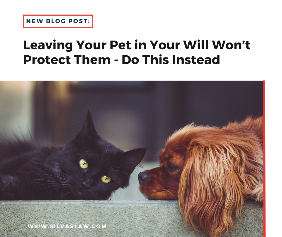 Leaving Your Pet in Your Will Won’t Protect Them, Do This Instead