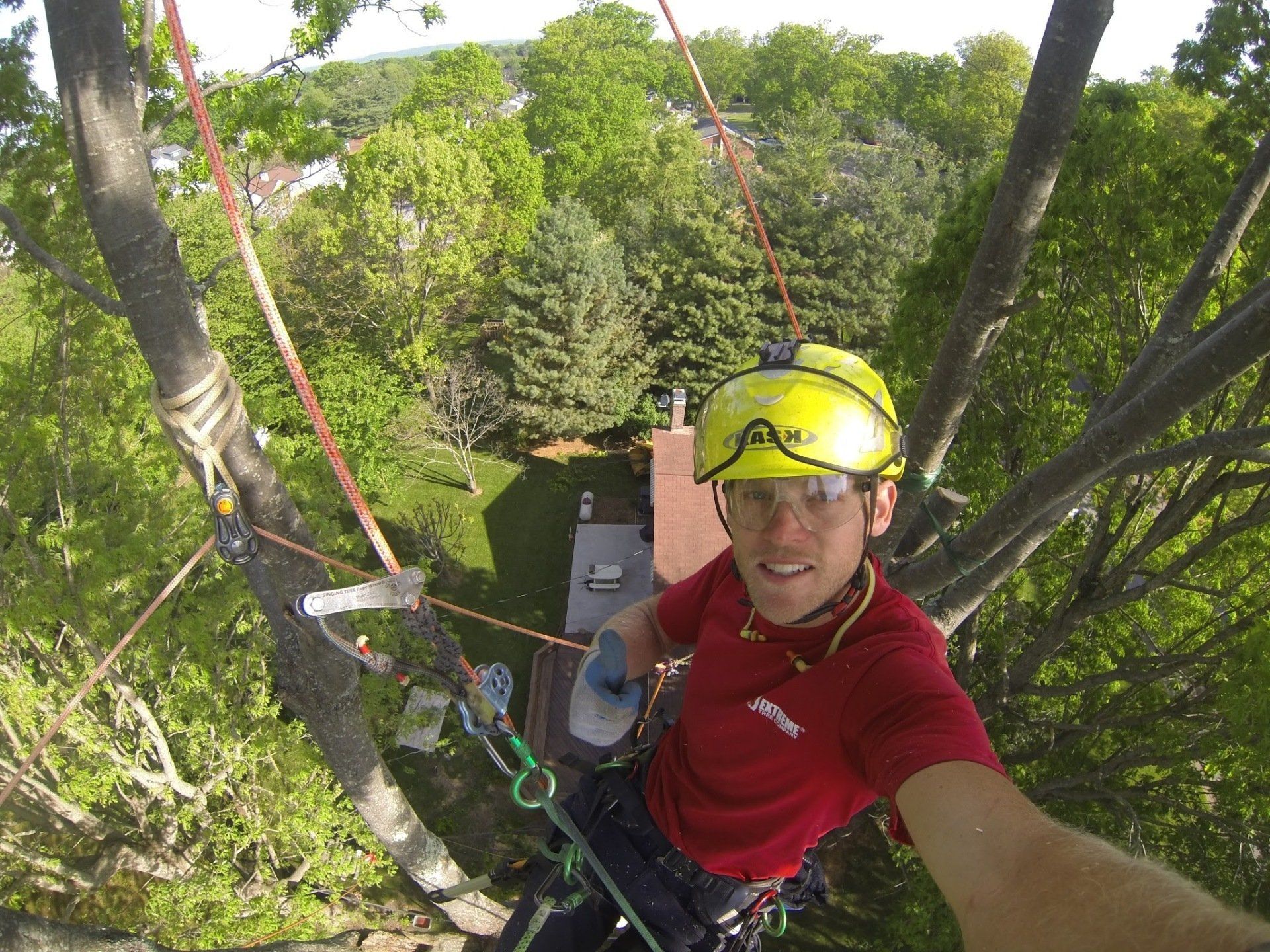 Extreme Tree Company - Top Rated Tree Services - Blacksburg, Virginia