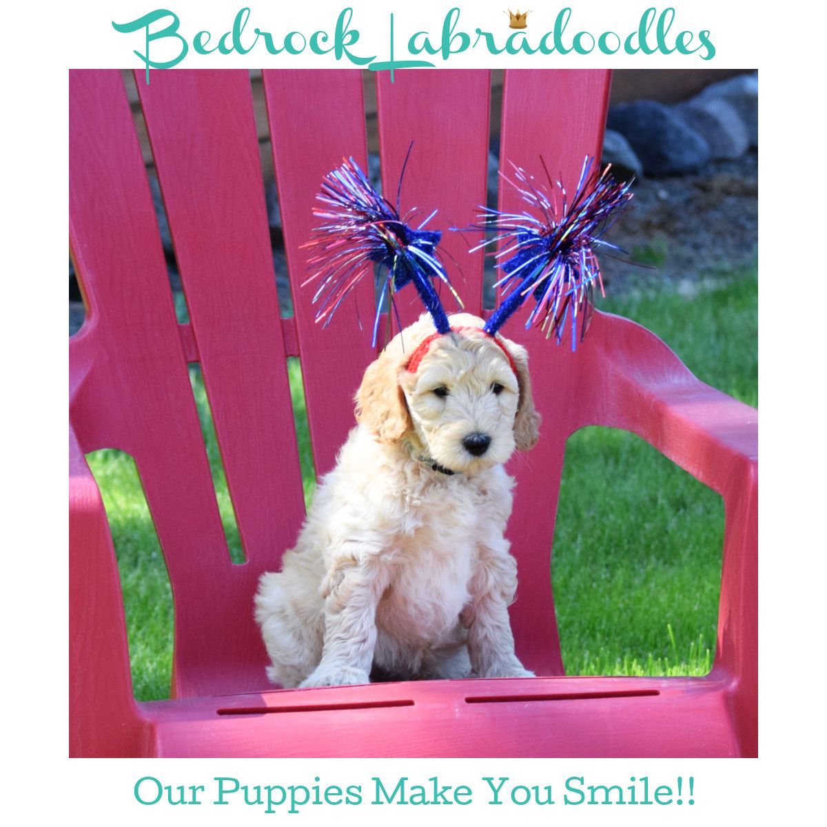 Happy 4th of July!