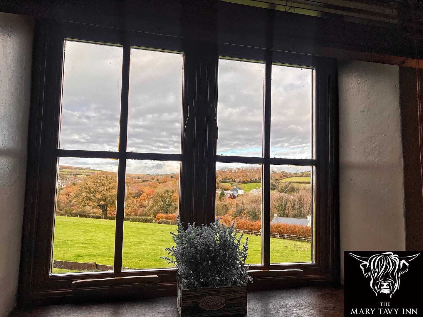 Traditional inn and bar | The Mary Tavy Inn