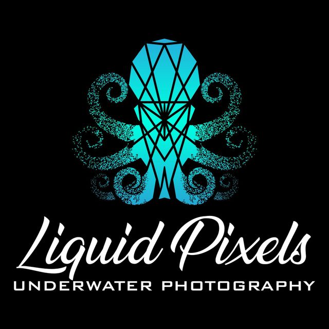 Underwater Photography Logo Underwater Photographer Camera Photography