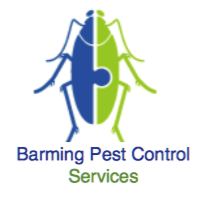 Pest Control Services Maidstone | Barming Pest Control