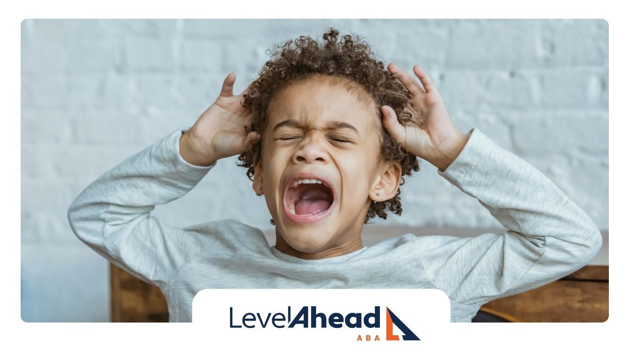 Autistic Meltdown vs Panic Attack | Level Ahead ABA